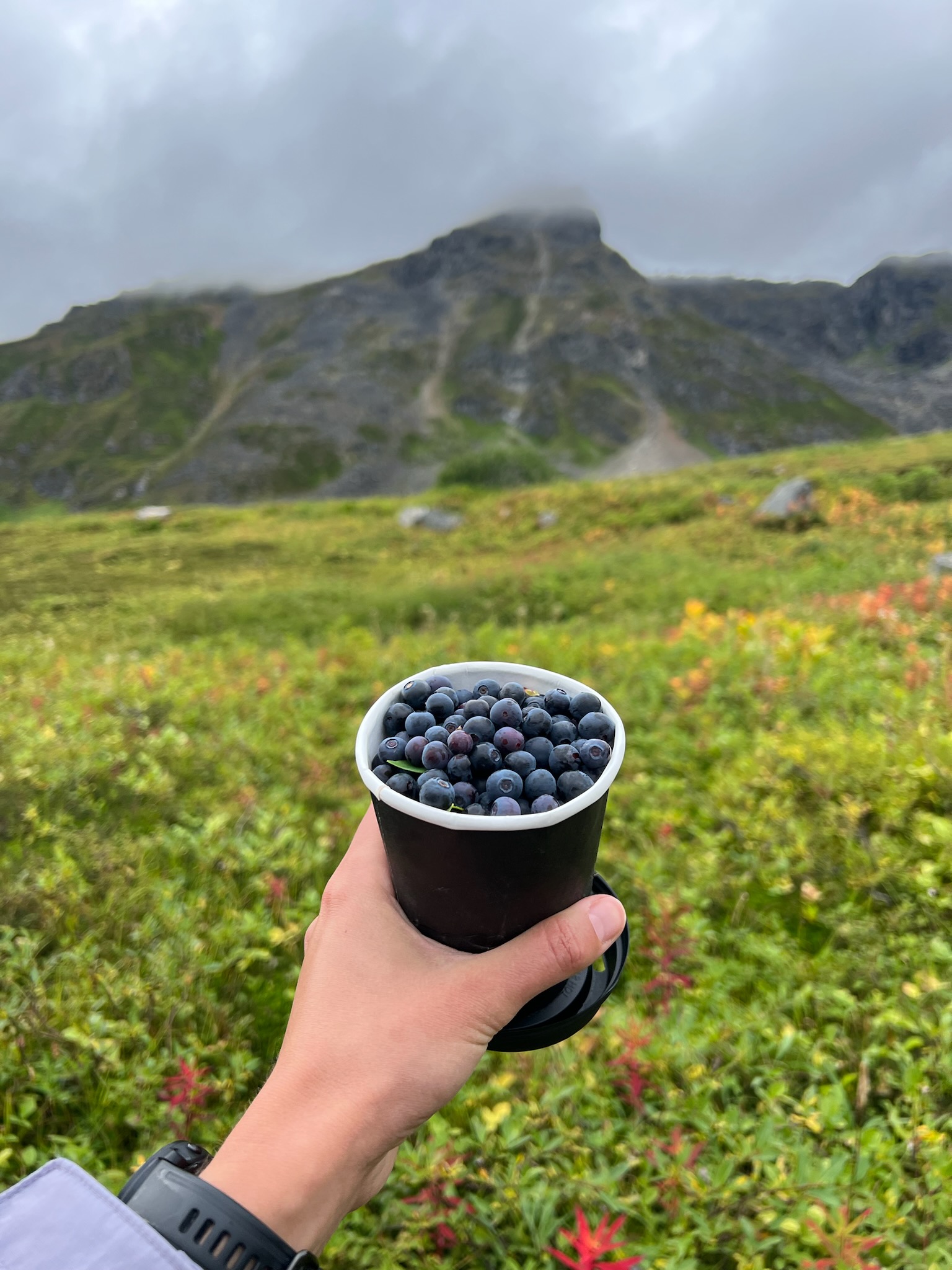 ALASKA HIKING & NORTHERN LIGHTS VIEWING ITINERARY – Tales of My Trails